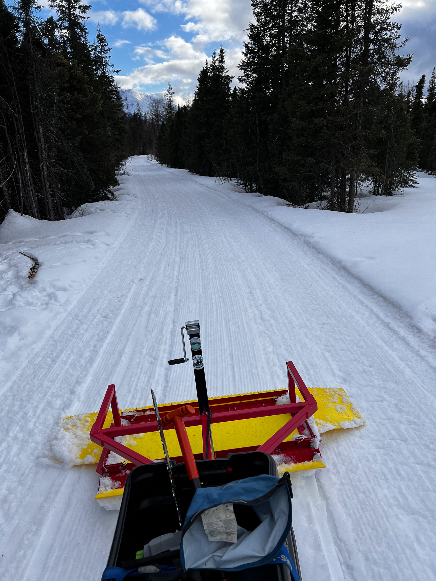 Fresh comb at Devil’s – Cooper Landing Trails